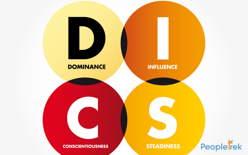 DISC LÀ GÌ? MỌI ĐIỀU BẠN CẦN BIẾT VỀ MÔ HÌNH DISC